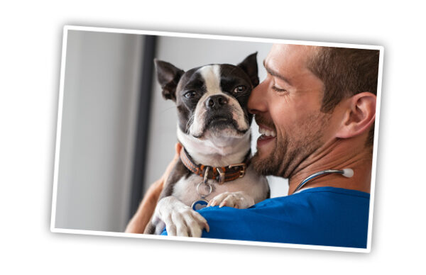 Preventing Dog Bites | MMG Insurance