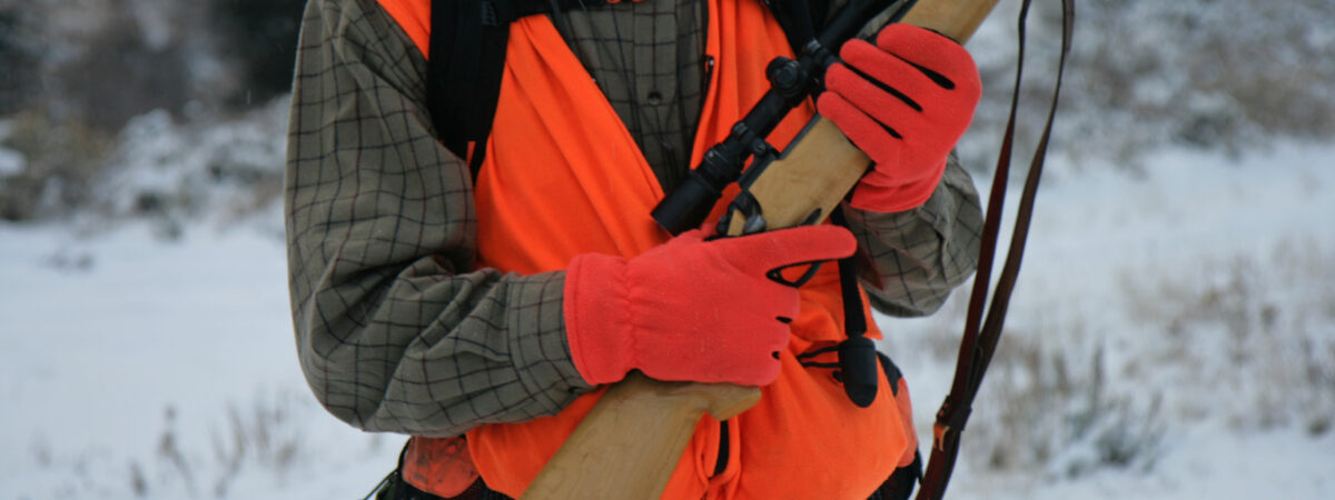 Home | MMG Insurance